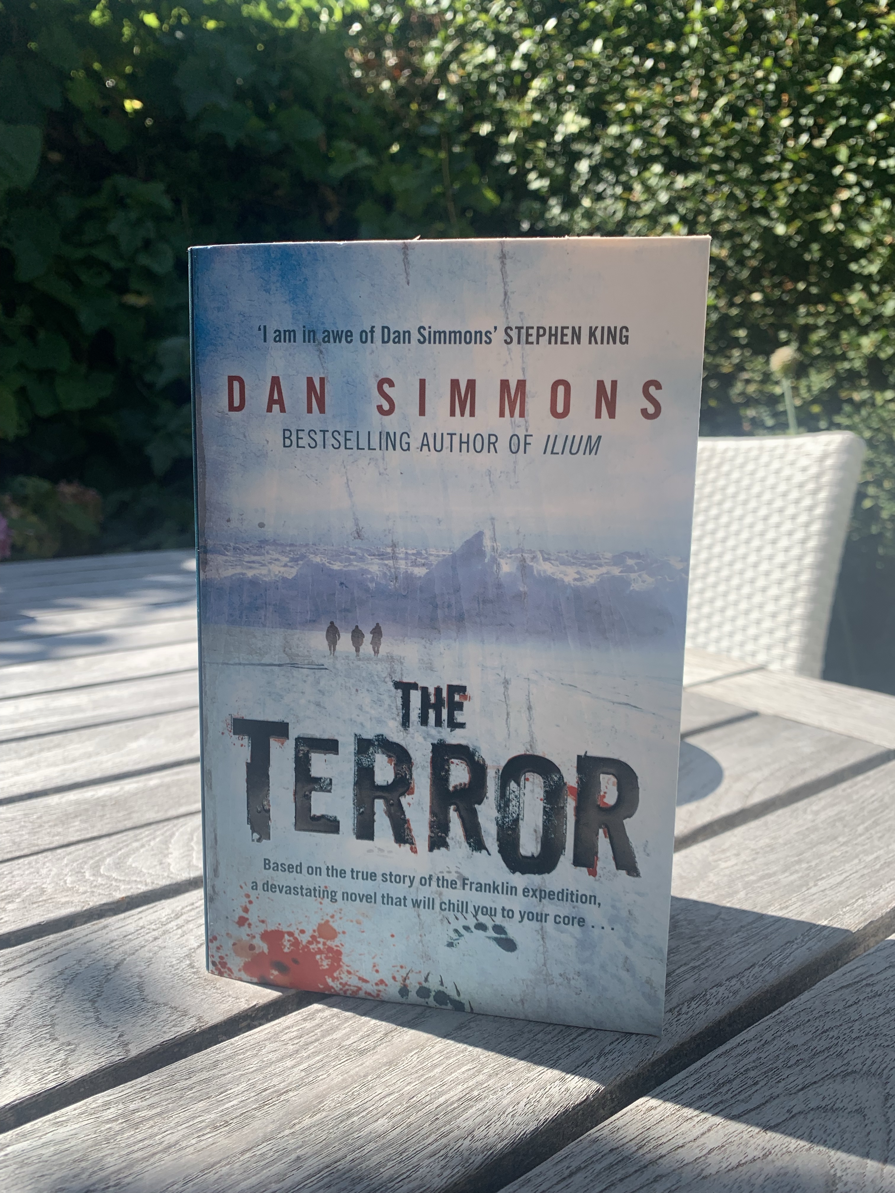 The Terror – Looneybooks79